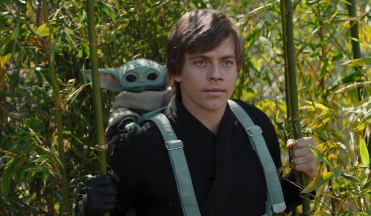 The Mandalorian: revelan cuánto tiempo duró el entrenamiento de Grogu ...