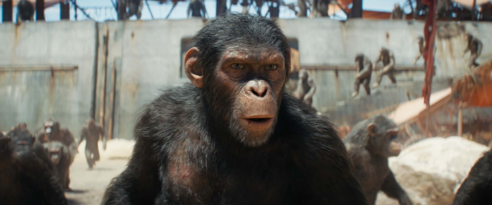 El Planeta de los Simios: Nuevo Reino muestra como los simios olvidaron ...