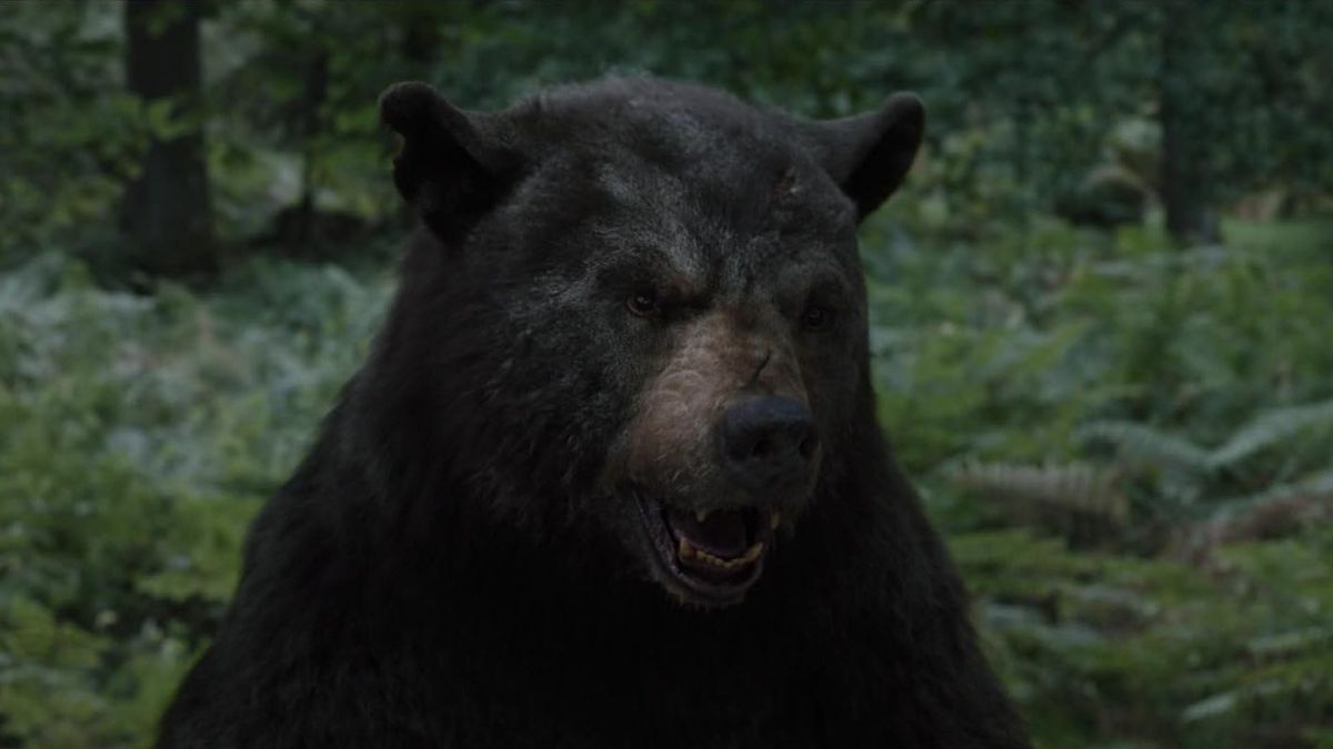 Drogas, un oso y una bizarra historia de fondo en la película que ...