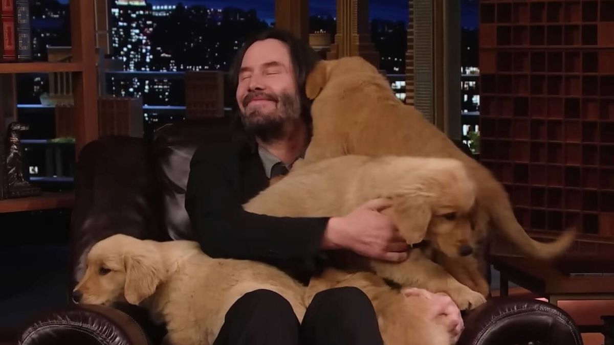 Keanu Reeves enamora a todos al verse rodeado de cachorros durante el ...