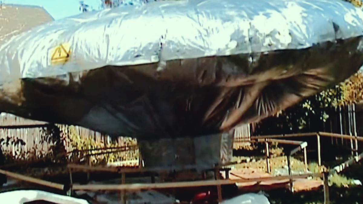 La increíble historia detrás de Fiasco total: El niño del globo, el ...