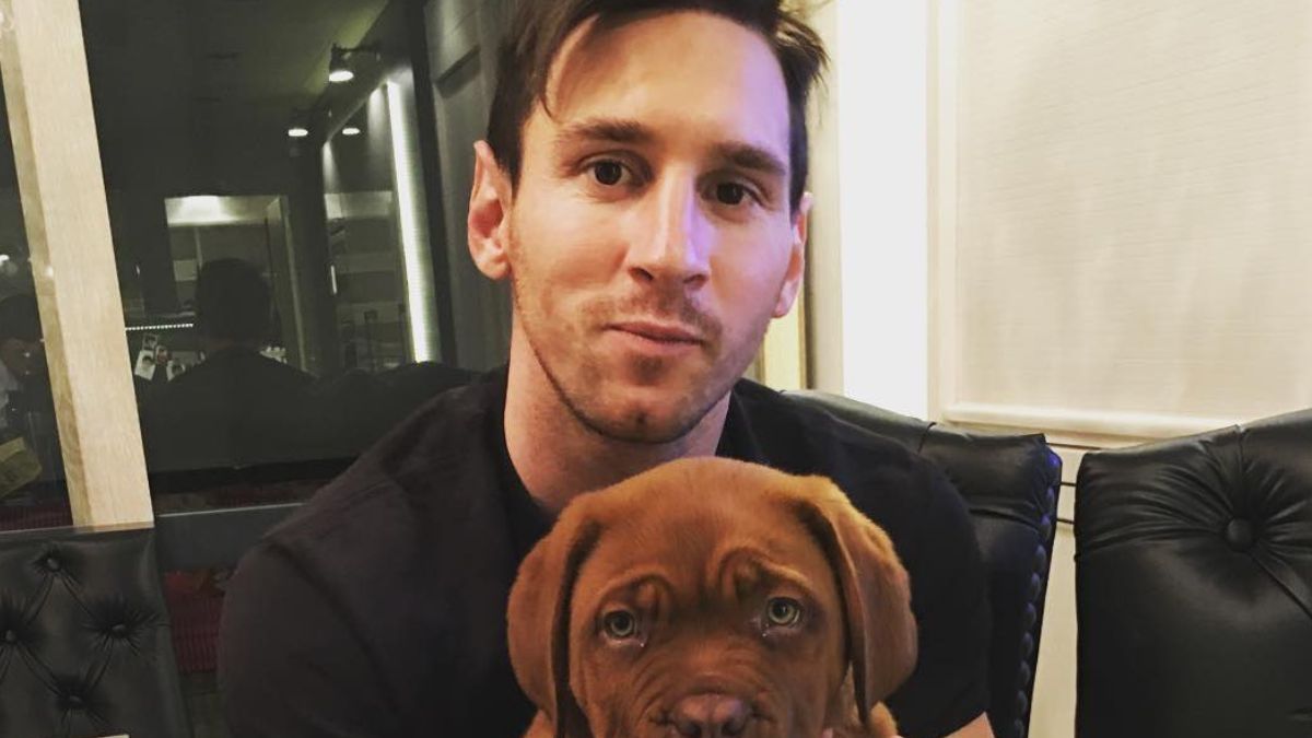 Qué fue de Hulk, el famoso perro de Lionel Messi valuado en 80 mil dólares