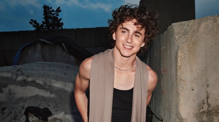 Timotheé Chalamet reveló qué tres artistas son su mayor inspiración